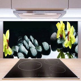 Kuchyňský skleněný panel Květ Kameny 140x70 cm