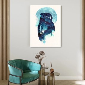 Gario Obraz na plátně Vzpomínky na sovu - Robert Farkas Rozměry: 40 x 60 cm