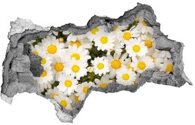 Wallmuralia Samolepící díra nálepka Sedmikrásky 95x73 cm