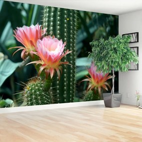 Fototapeta Kaktusový květ 104x70