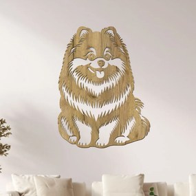 dřevo života Dřevěný obraz psa Pomeranian Zvolte rozměr (cm): 30x40, Zvolte barvu dekoru: Dub zlatý