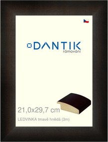 DANTIK rámeček 21x29,7 | LEDVINKA tmavě hnědá (Sklo Čiré)