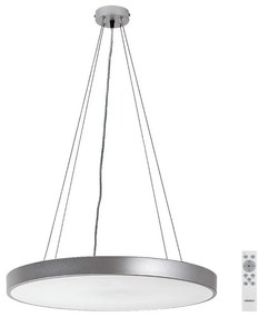 Rabalux Rabalux 71042 - LED Stmívatelný lustr na lanku TESIA LED/60W/230V stříbrná + DO RL71042
