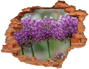 Wallmuralia Samolepící díra na stěnu Květ česneku 90x70 cm