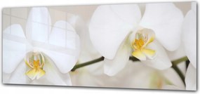 sklo grafika, skleněný obraz, 150x60, orchidej