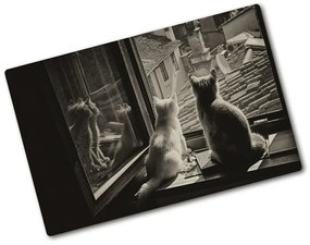 Wallmuralia Kuchyňská deska skleněná Kočky u okna 80x52 cm