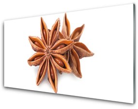 Plexisklo-obraz Anýz Hvězda Příprava 140x70 cm