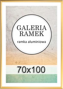 Rámeček na fotografie 70x100 cm Rámeček zlatý hliníkový fotorámeček pro fotografie B1