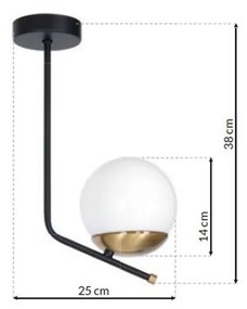 Stropní svítidlo Carina, 1x bílé skleněné stínítko, b/g
