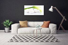 Obraz na plátně Vajíčka 140x70 cm