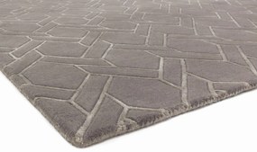 Šedý  koberec Rapun Fine Silver Rozměry: 120x170 cm