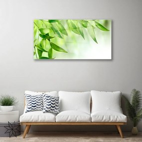 Obraz na skle Zelené Listy Příroda 100x50 cm