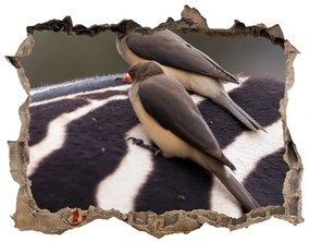 Wallmuralia Díra 3D fototapeta nálepka Ptáci a zebra 95x64 cm