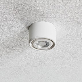 LED svítidlo Anzio downlight, otočné, bílá