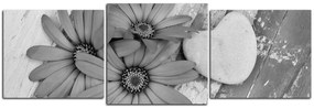 Obraz na plátně - Květy a kamenné srdce - panoráma 583QD (120x40 cm)