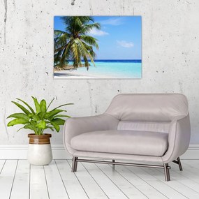 Skleněný obraz palmy na pláži (70x50 cm)