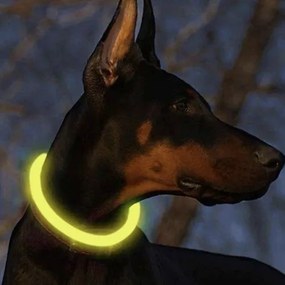 Svíticí obojek pro psy LED Purlov 24200, regulovatelný, nabíjecí USB-C