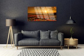 Obraz na skle Pole Máky Západ Slunce Louka 125x50 cm