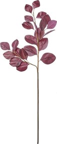 FLORISTA Eukalyptus 90 cm - fialová