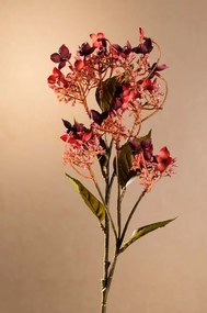 Paramit DRY WILD HYDRANGEA Aranžovací květina červená 62 cm