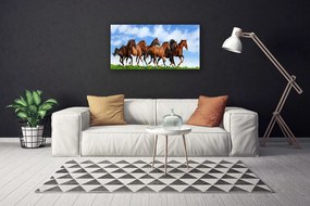 Obraz na plátně Cválající Koně na Pastvině 125x50 cm