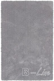 Kusový koberec Dolce Vita 01SSS Varianta: 160x230 cm