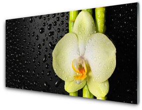 Obraz na skle Bambus Květ Orchidej 140x70 cm