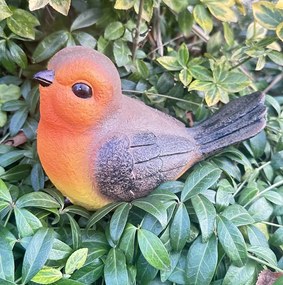Ptáček na zahradu