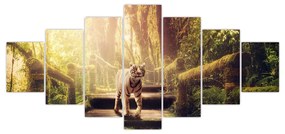 Obraz tygra v džungli (210x100 cm)