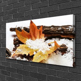 Obraz na plátně List Les Podzim Příroda 120x60 cm