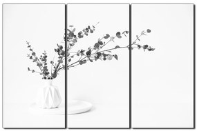 Obraz na plátně - Větev eukalyptu v bílé váze na bílém pozadí 1272QB (105x70 cm)