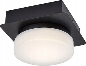 Stropní stropní svítidlo Led 5W Attichus 75001 Rabalux