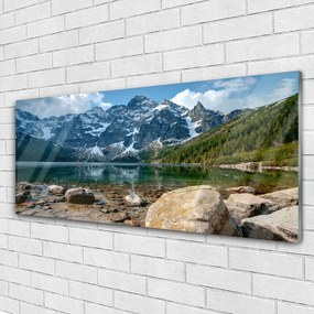 Plexisklo-obraz Hory Les Jezero Kameny 125x50 cm
