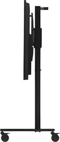 TS Electric Stand Light / Stojanové svítidlo