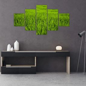 Obraz trávy (125x70 cm)