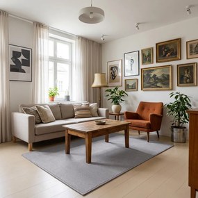 AladinWorld Expres, Kusový koberec Royal Lux 90 šedý, 100x200, šedá, ložnice
