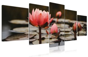 Malvis ® Vícedílný obraz Květiny na vodě Velikost (šířka x výška): 100x50 cm