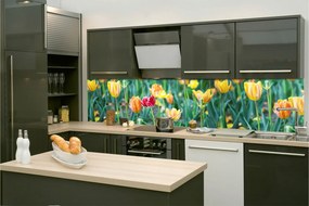 DIMEX | Fototapeta do kuchyně Tulipány KI-260-122 | 260 x 60 cm | zelená, červená, žlutá