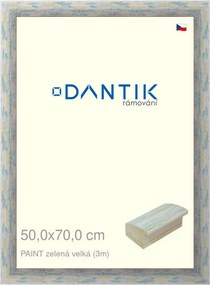 DANTIK rámeček 50x70 | PAINT zelená velká (Plexi Čiré)