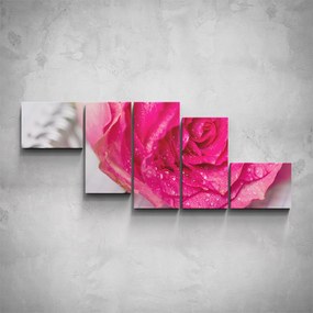 5-dílný obraz - Růžová růže - PopyDesign