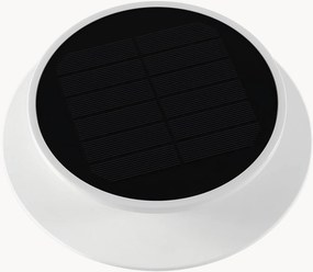 Solární LED reflektor Solia Spike