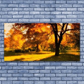 akrylový obraz Stromy Podzim Příroda 120x60 cm