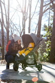 Baby Jogger BabyJogger CITY MINI GT 2 SINGLE - BRIAR GREEN