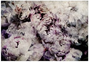 Fototapeta - Home Flowerbed