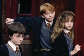 Umělecký tisk Harry Potter - Finally over