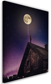 Gario Obraz na plátně Goodnight Moon - Rokibul Hasan Rozměry: 40 x 60 cm