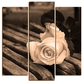 Obraz na plátně - Bílá růže na lavici - čtverec 3224FC (105x105 cm)