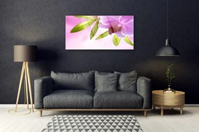Obraz na skle Květ Listy Rostlina 100x50 cm
