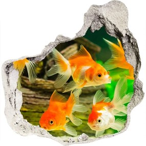 Wallmuralia Díra 3D foto tapeta nálepka Zlaté rybičky 75x75 cm