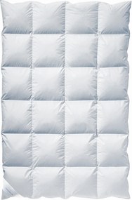 XXXLutz ZIMNÍ PŘIKRÝVKA, 135/200 cm, kachní prachové peří, kachní peří Billerbeck - Přikrývky - 003279054301